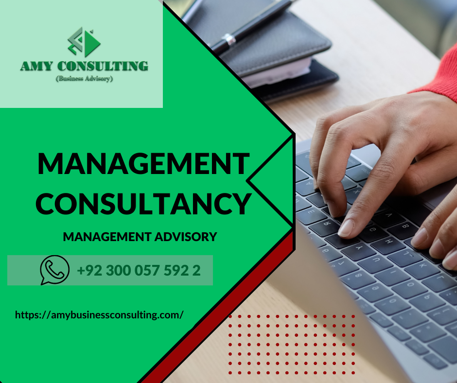 MANAGEMENT CONSULTANCY - AMY CONSULTING